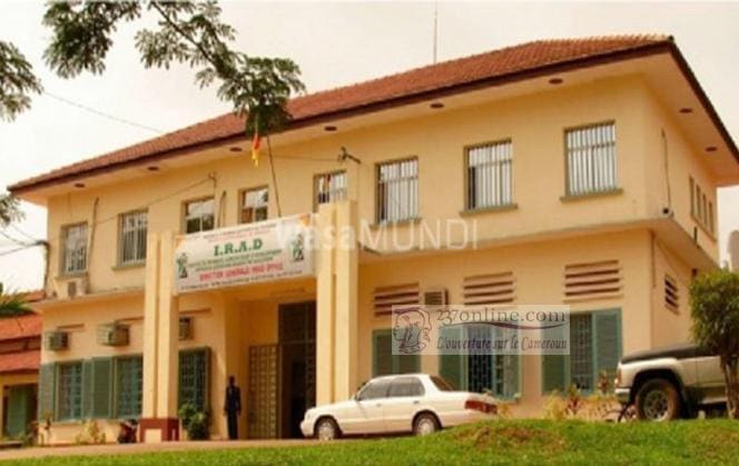 Cameroun - Revendications : Grève annoncée à l’Irad - 237online.com