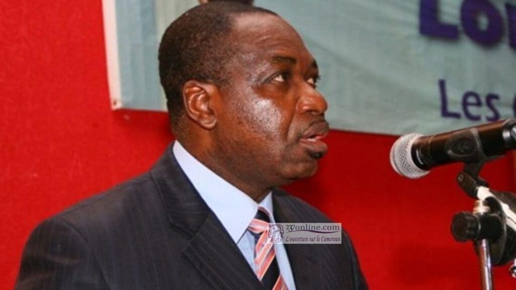 Theodore NSANGOU: "Quand nous allons prendre la commune de Njingouon ...