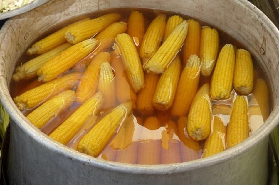 Cameroun: Matias Avok Souma vend du maïs pour payer sa formation ...