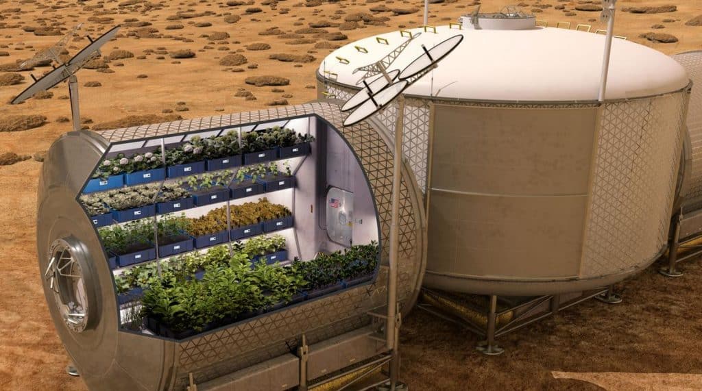 Agriculture spatiale : Les américains veulent cultiver la tomate dans l ...