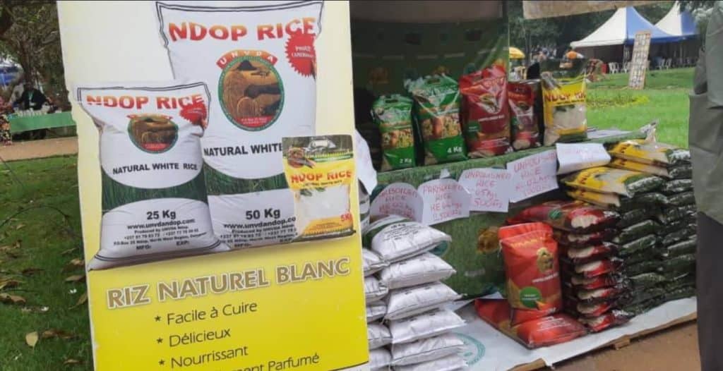 Riz Ndop et Yagoua : les véritables joyaux du Cameroun face aux ...