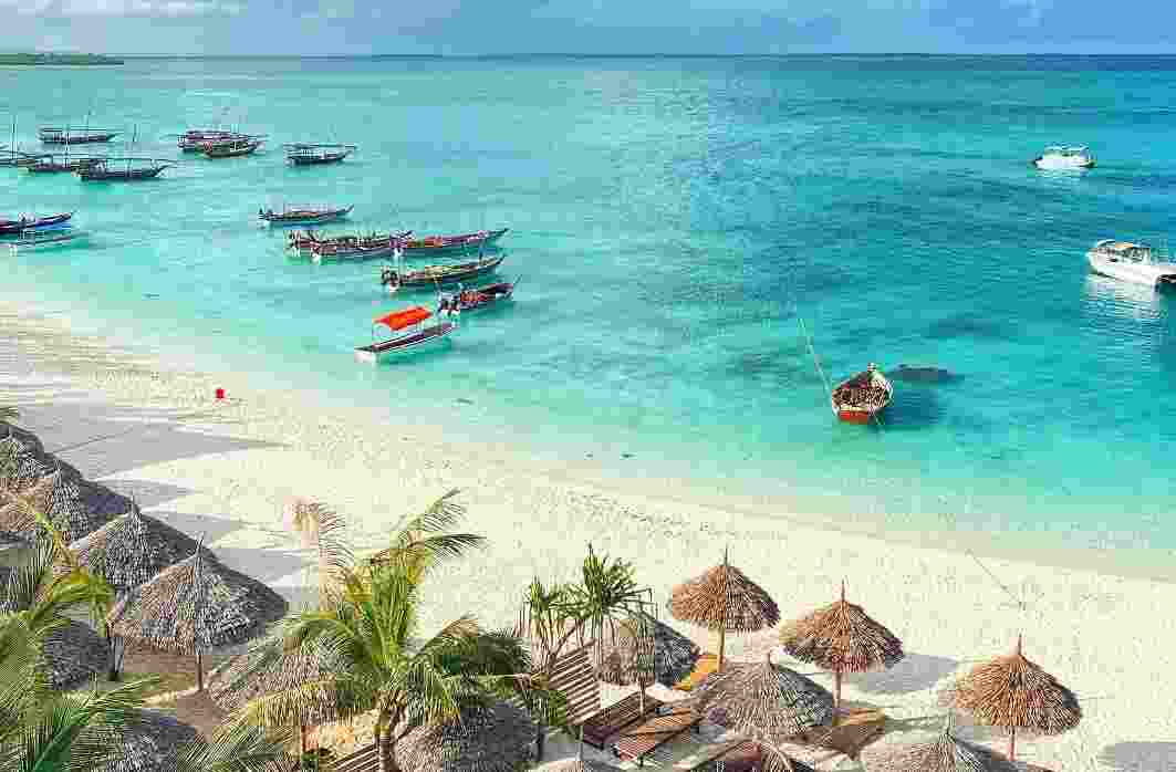 Zanzibar, destination exotique pour vivre un safari - 237online.com
